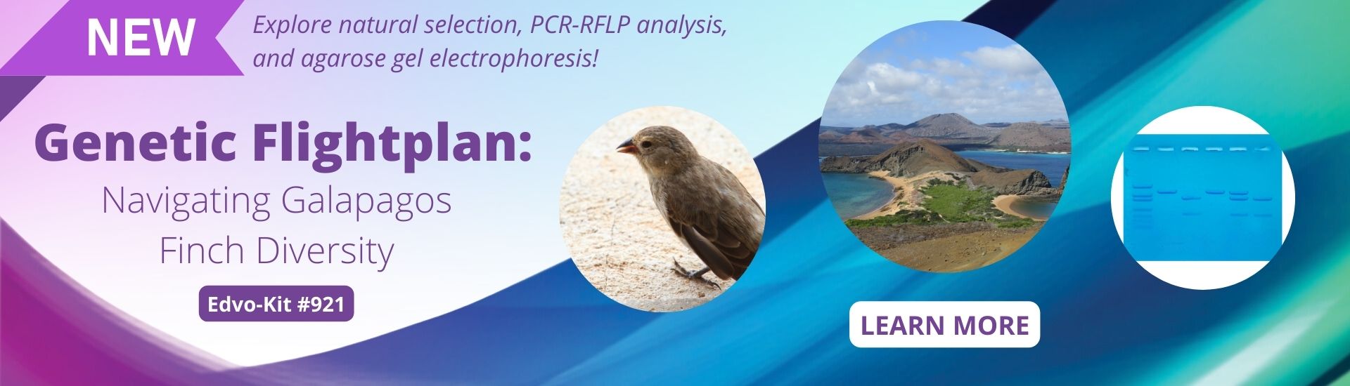 EDVOTEK® | The Biotechnology Education Company®