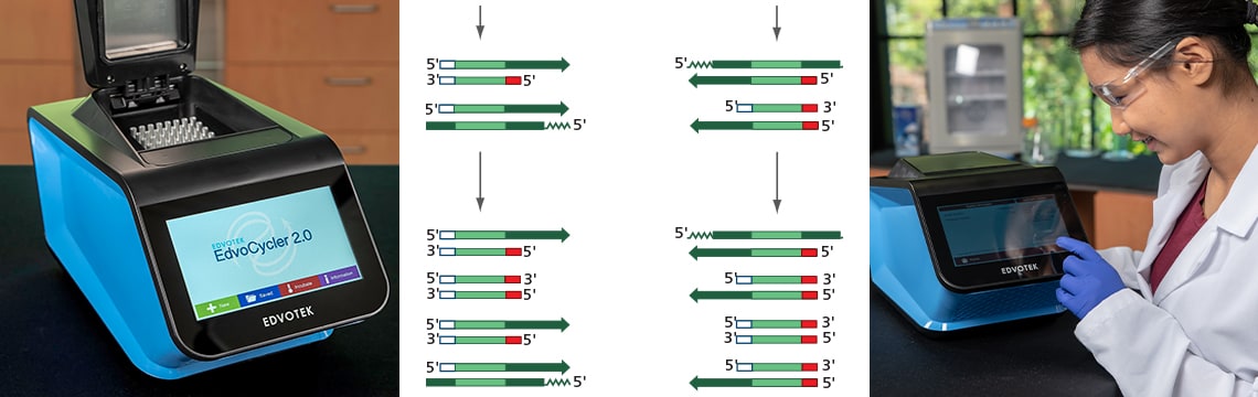 Quick Guide Polymerase Chain Reaction