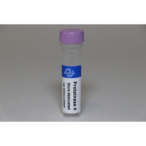 EDVO-Kit #332 Replenisher (Comp. A-E, PCR EdvoBeads PLUS, SYBR® Safe ...