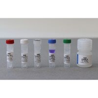 EDVO-Kit PCR Bag Replenisher