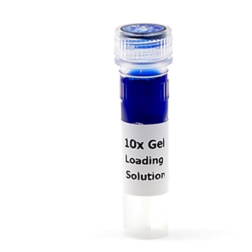 606 Gel Loading 10x Solution 606 Gel Loading 10x Solution